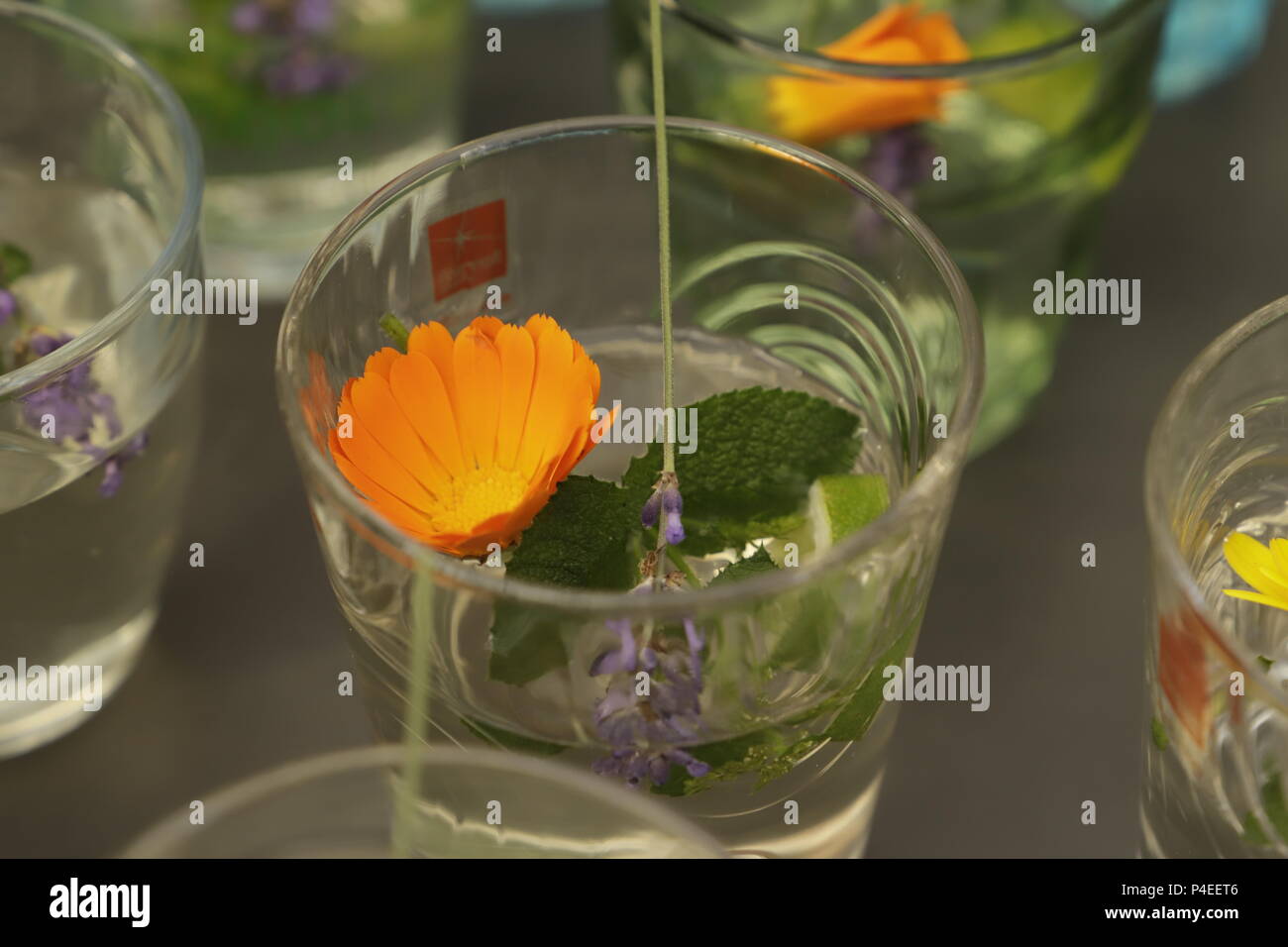 Flower lemonade delicious colorful and healthy Stock Photo - Alamy