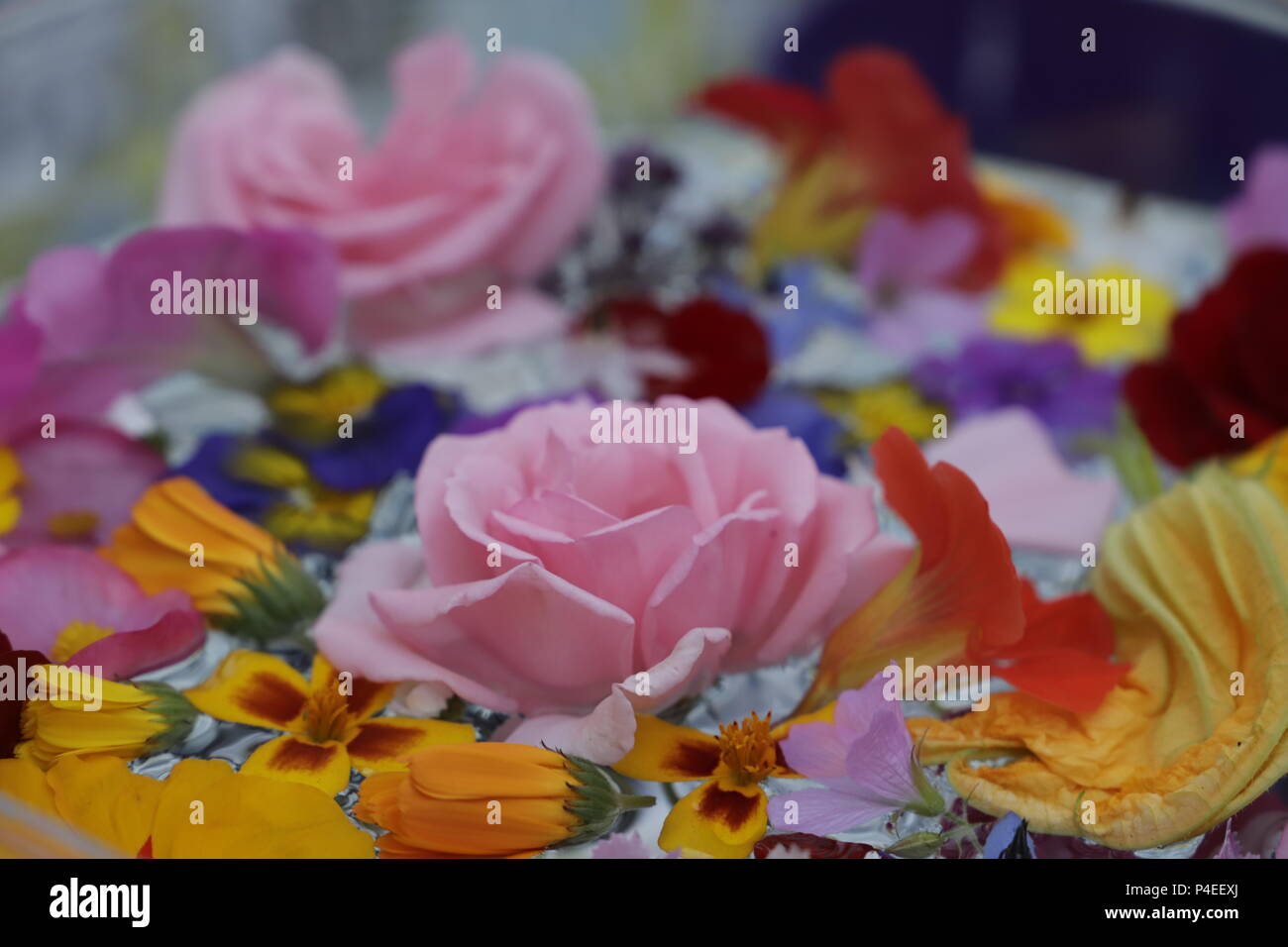 So much fun, edible flowers it looks beautiful and tastes delicious ...