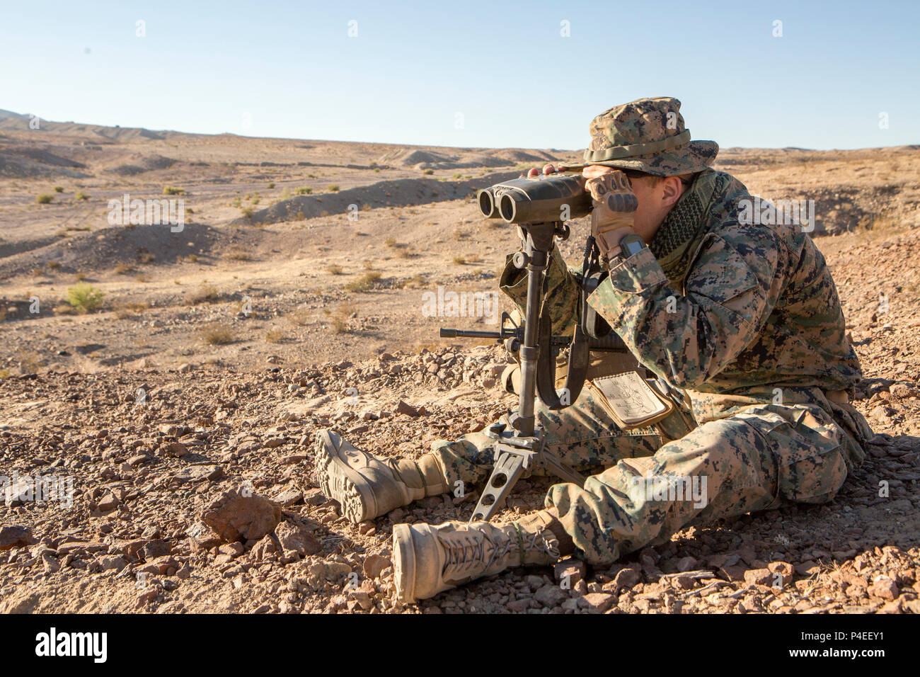 Scout observer hi-res stock photography and images - Alamy