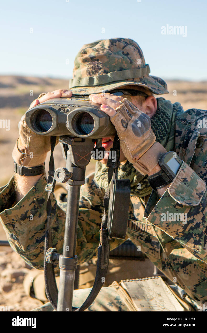 Nvg vector hi-res stock photography and images - Alamy