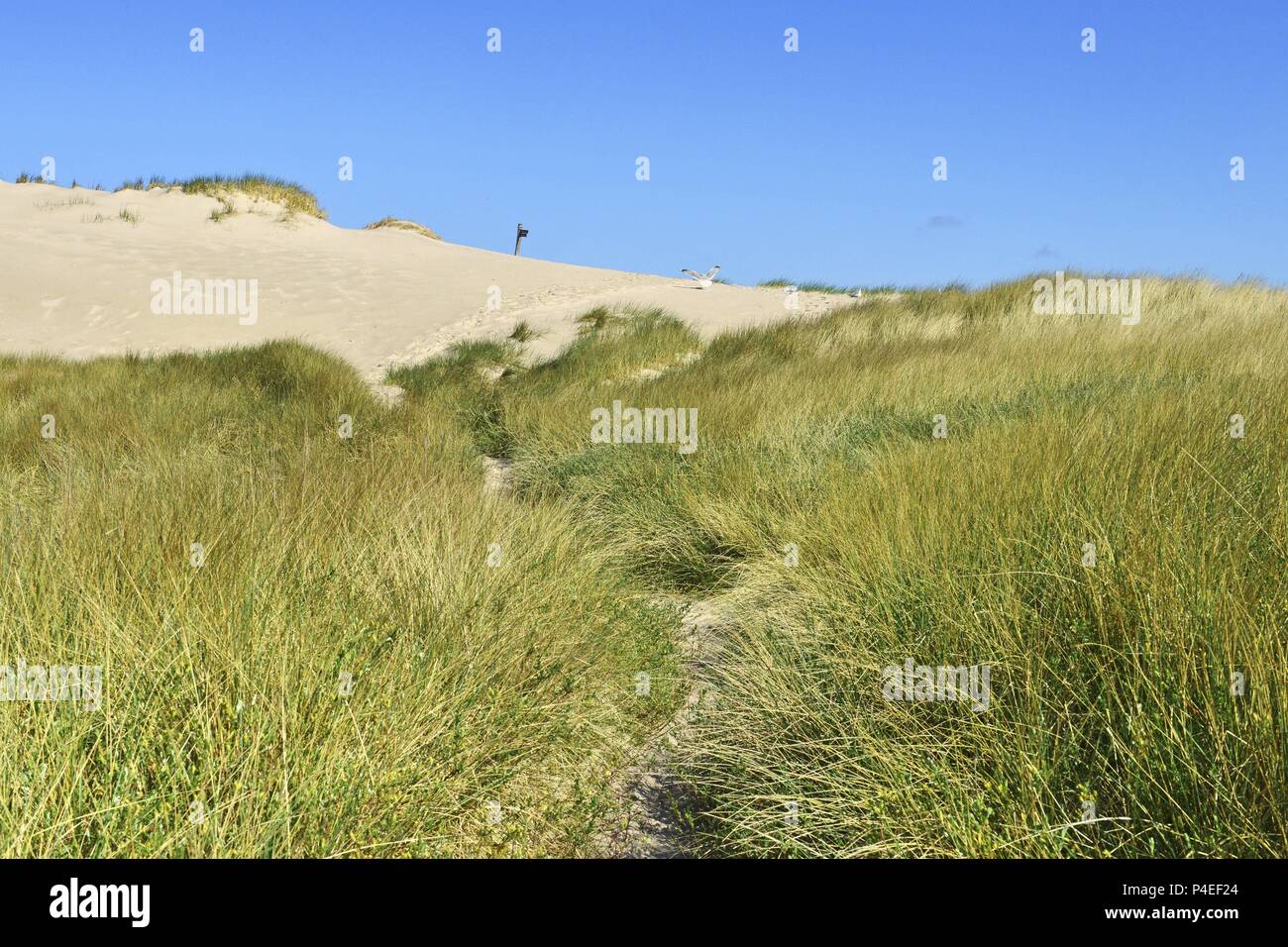 Narrow way hi-res stock photography and images - Alamy