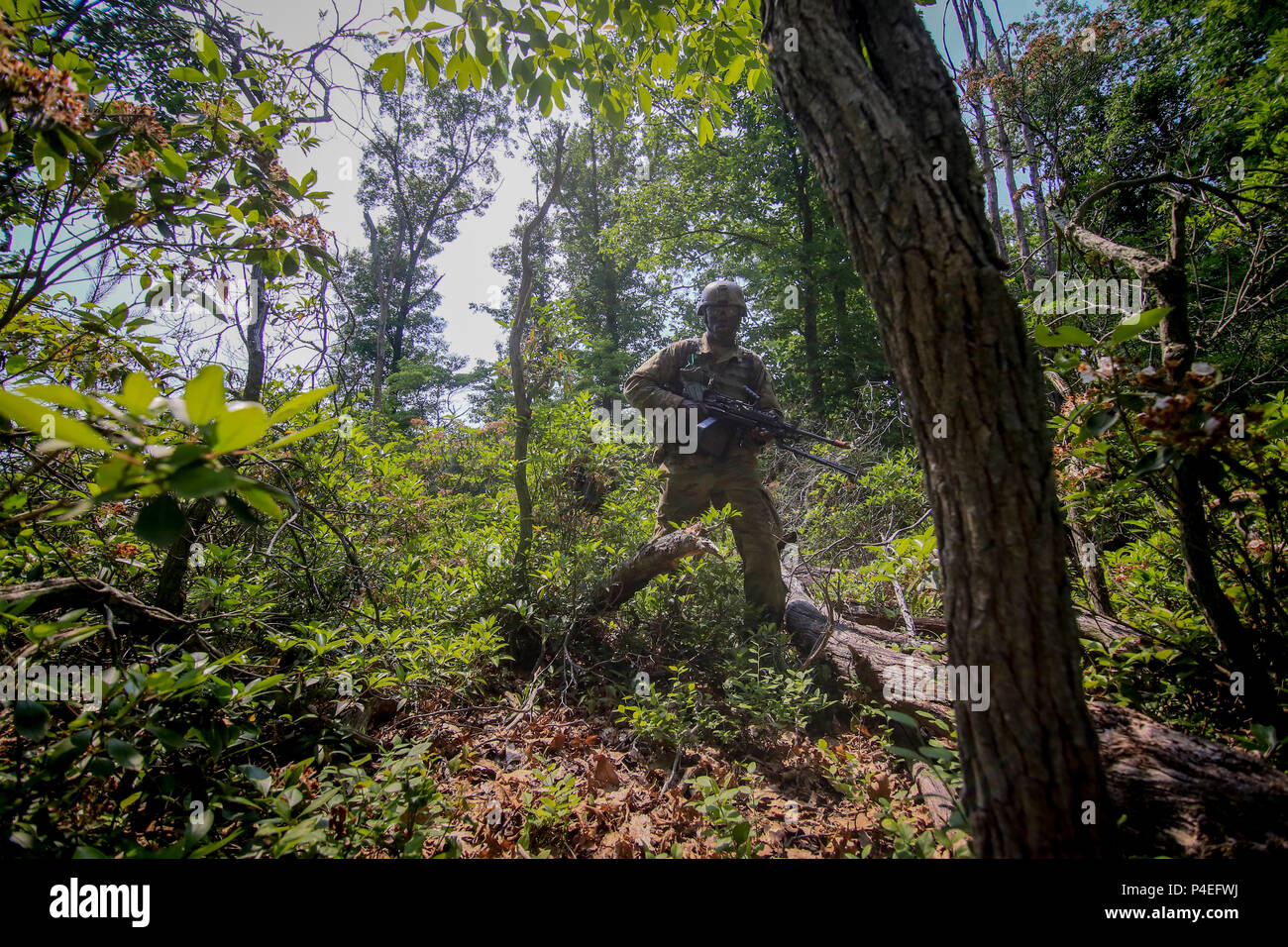 U.S. Army National Guard Soldiers from New Jersey's C Troop, 1st ...