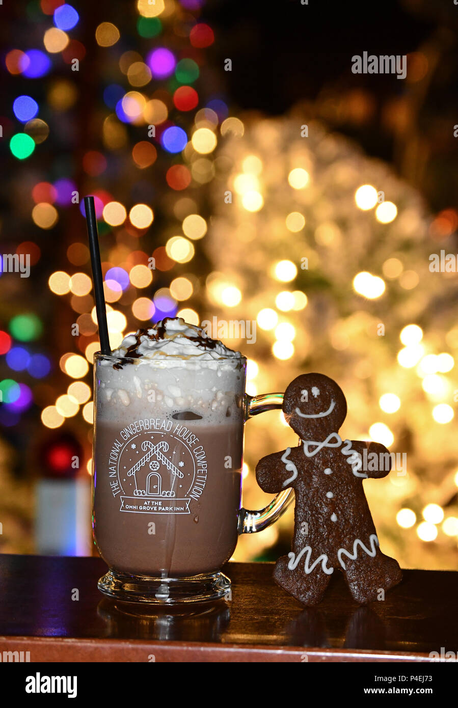 Winter at the Grove Park Inn Ashevlile-Gingerbread House Contest Stock ...