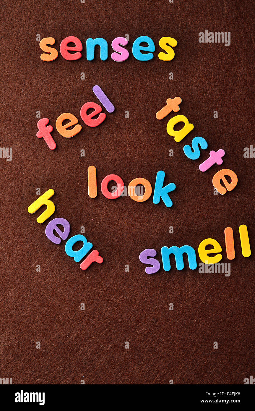 See smell taste touch hear hi-res stock photography and images - Alamy