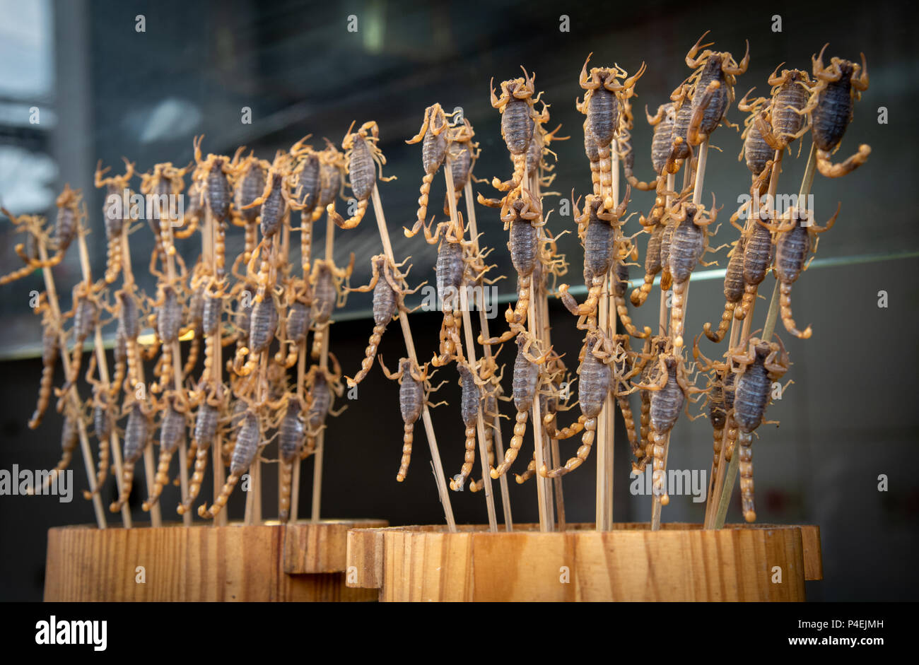 Fried delicious scorpions on the stick ready to be eaten on the snack ...