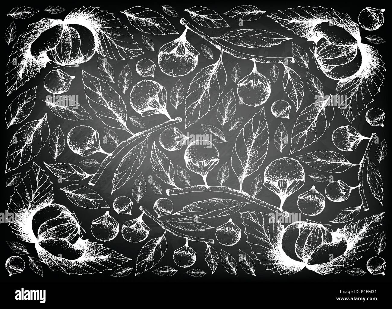 Tropical Fruit, Illustration Wallpaper Background of Hand Drawn Sketch ...