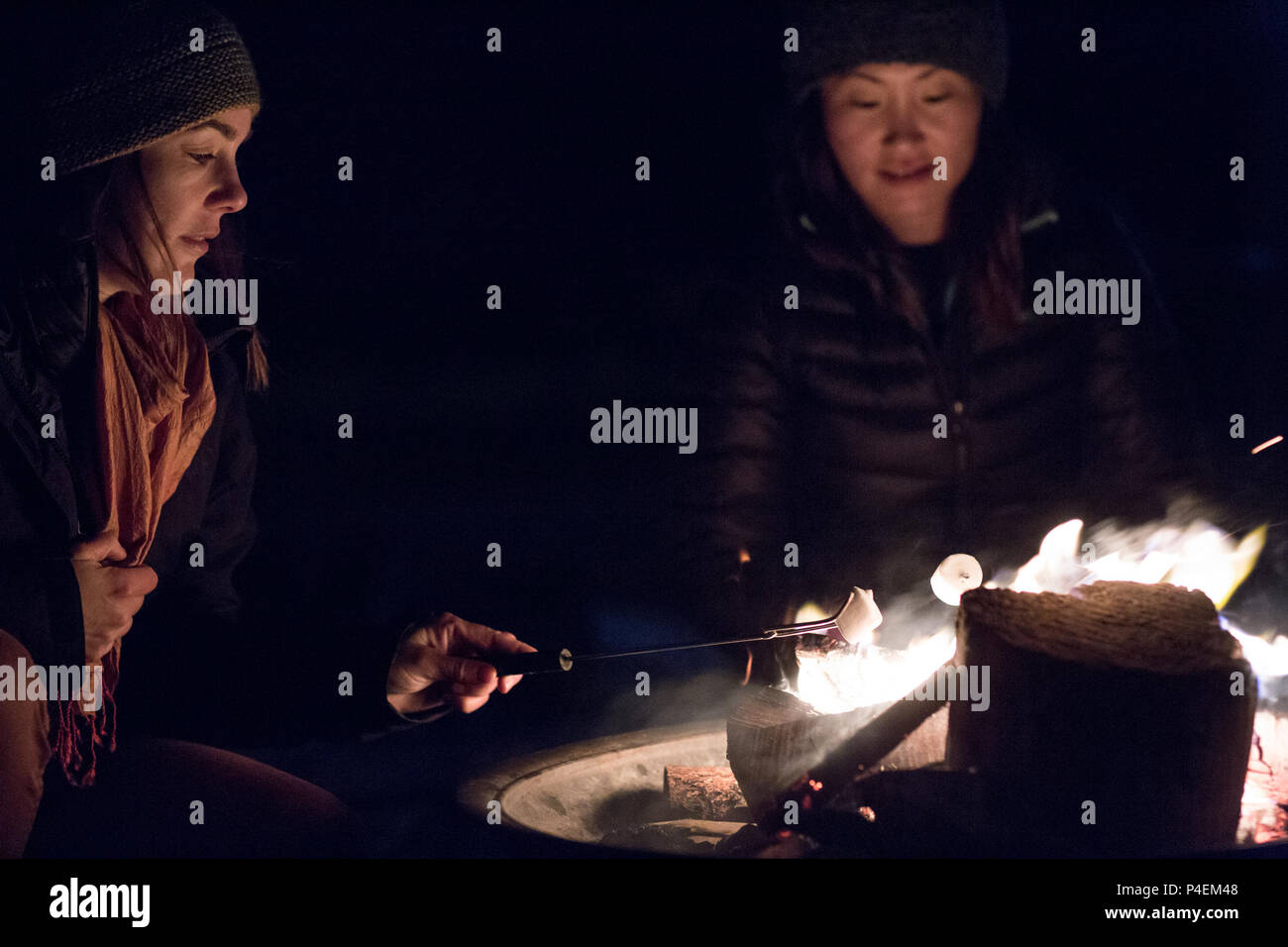 Children toasting marshmallows hi-res stock photography and images - Alamy