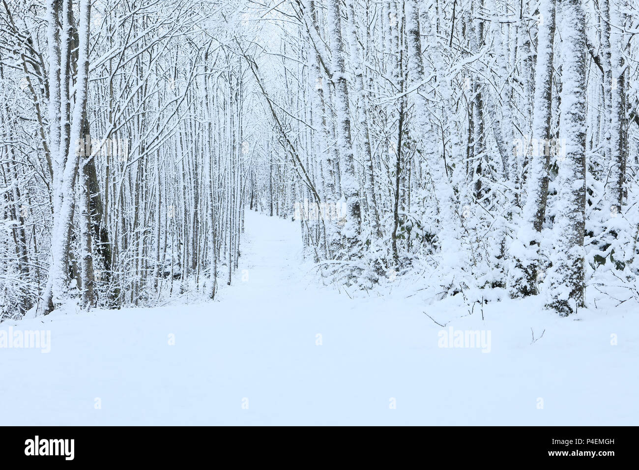 Cootehill hi-res stock photography and images - Alamy
