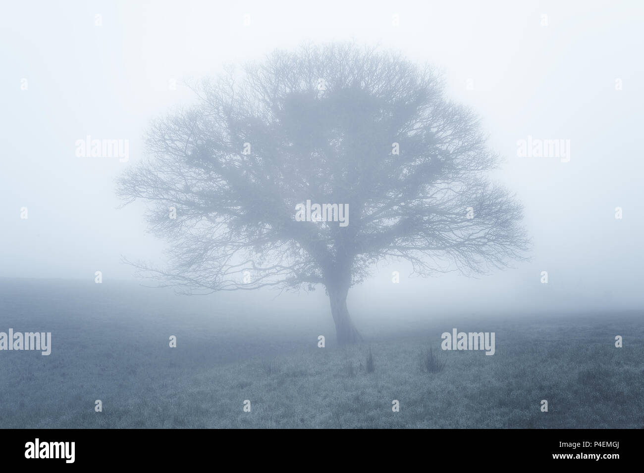 Mist silhouette hi-res stock photography and images - Alamy