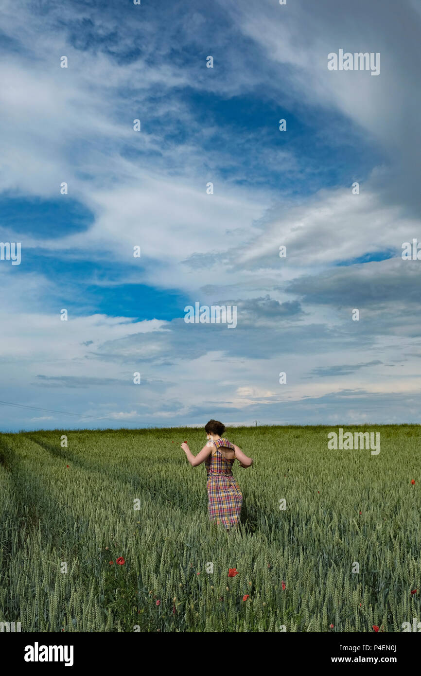 Woman walking through a wheat field hi-res stock photography and images ...