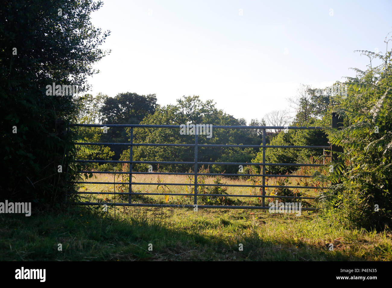 Metal farm gate hi-res stock photography and images - Alamy