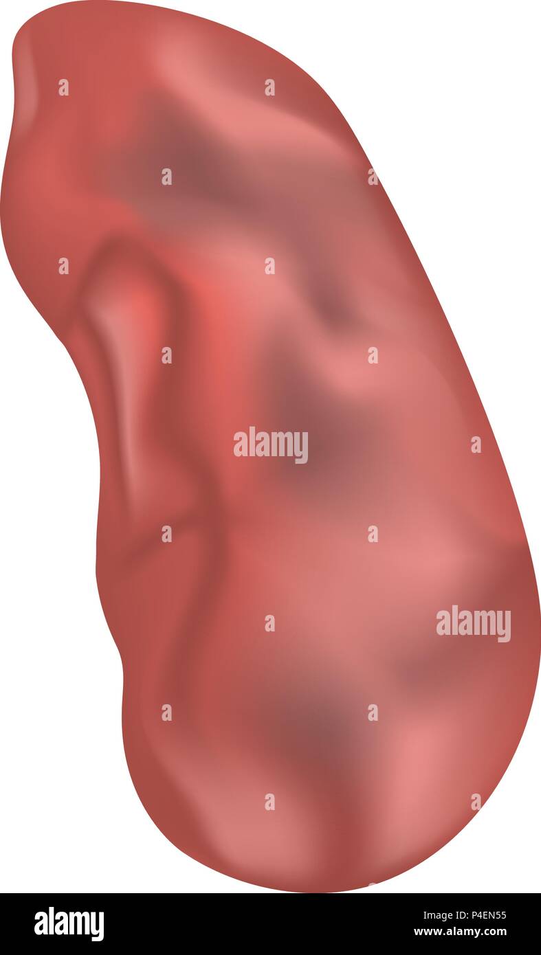 Sick spleen mockup, realistic style Stock Vector Image & Art - Alamy