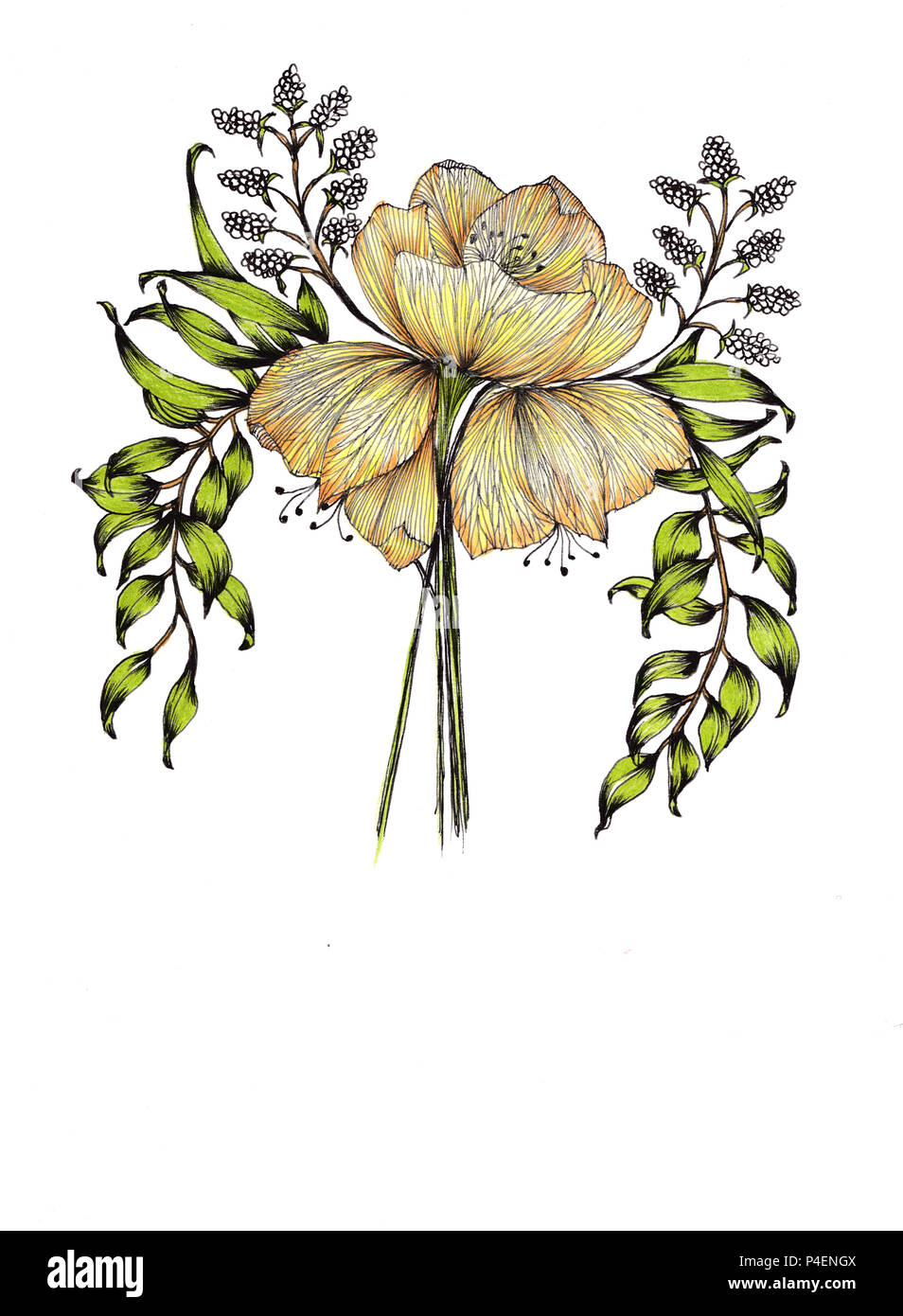 Beige Petals drawing Stock Photo - Alamy