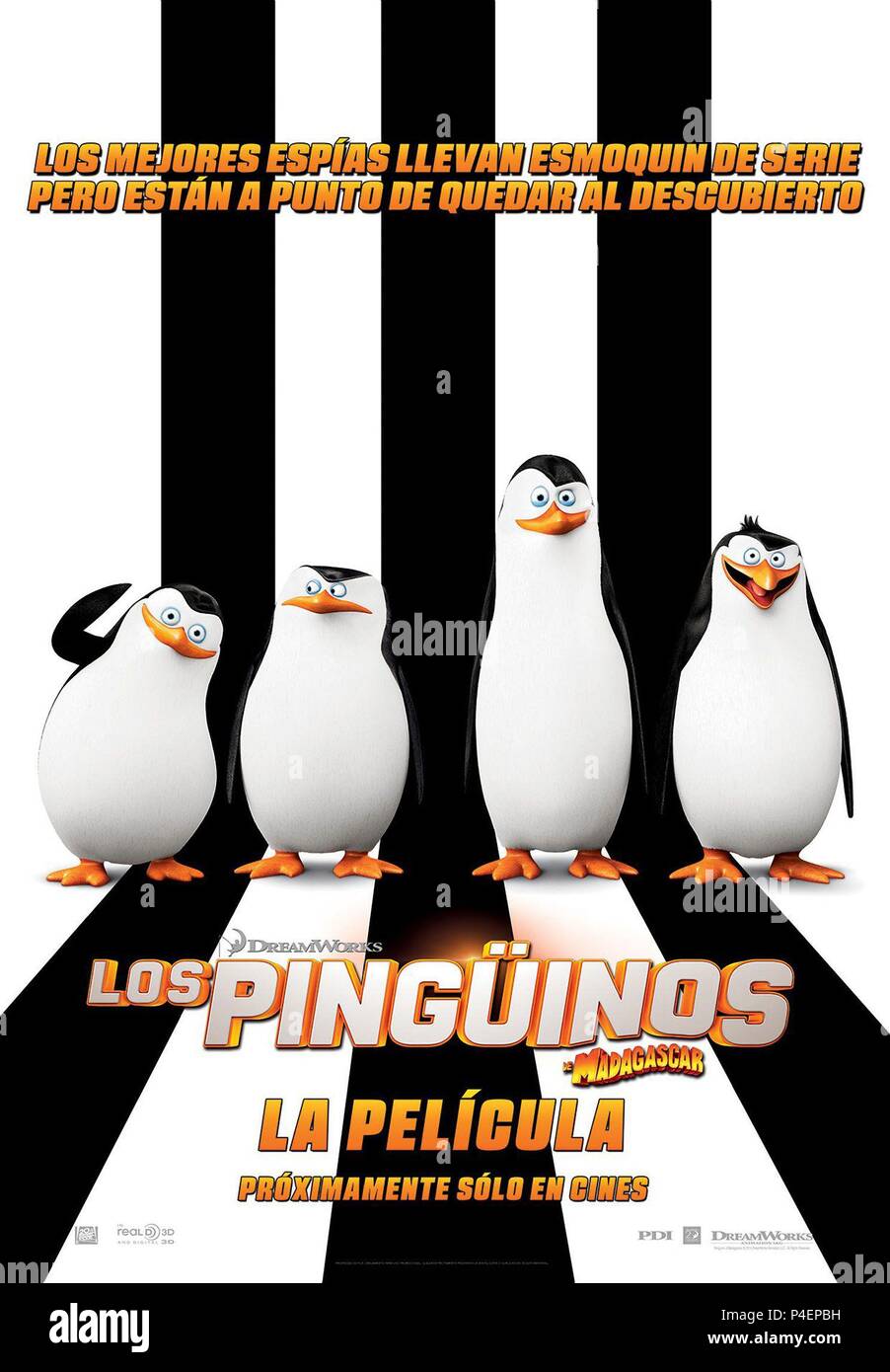 Chillin Penguins Poster