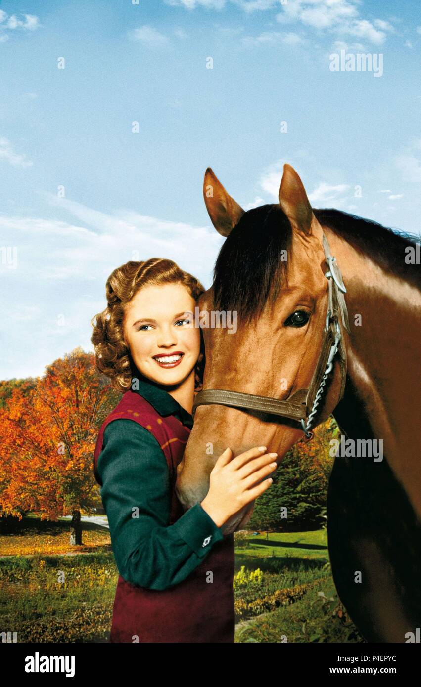 Seabiscuit Wallpaper