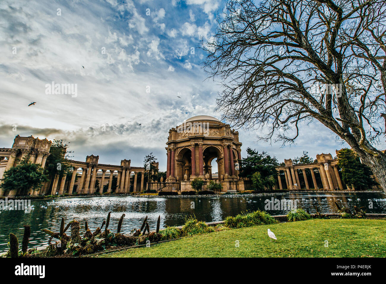 A view of the historic Palace of Fine Arts Theatre in San Francisco, CA ...