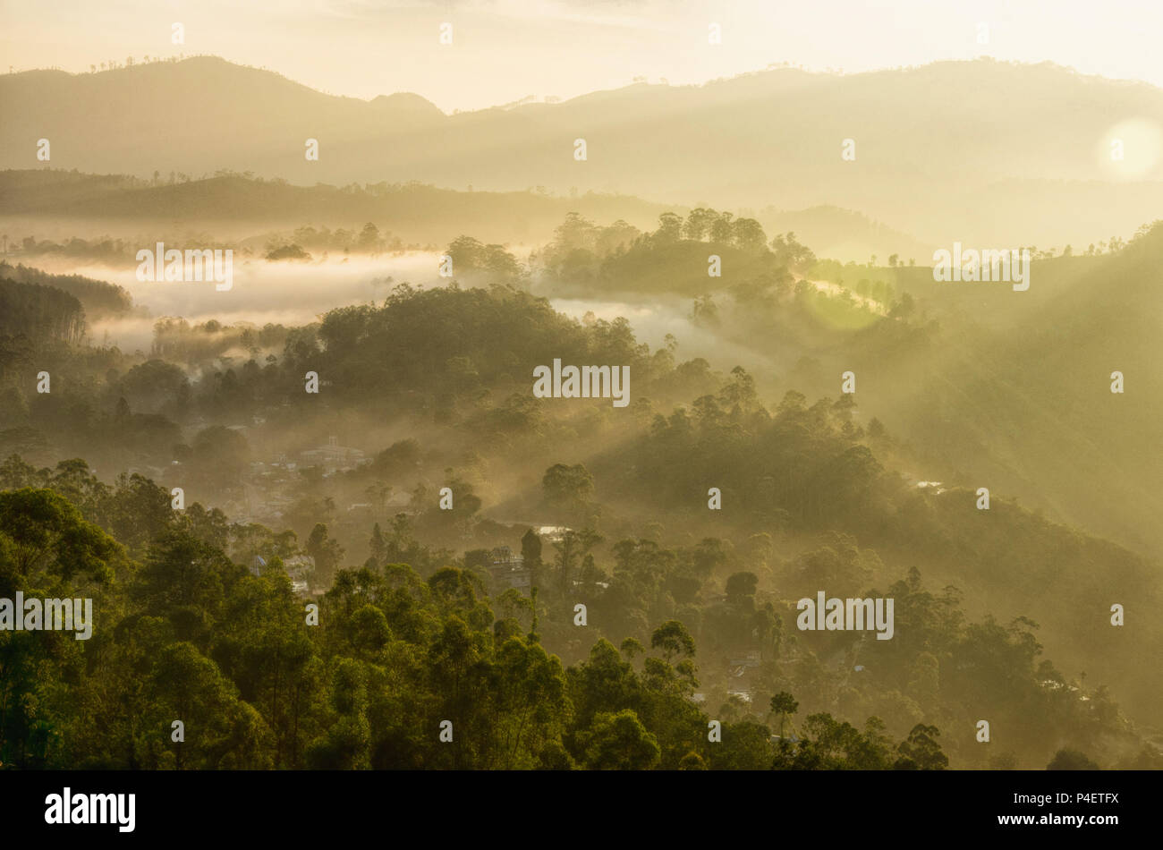 Ella valley hi-res stock photography and images - Alamy
