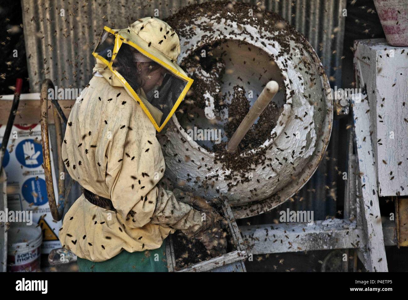 The wonders 2014 alice hi-res stock photography and images - Alamy