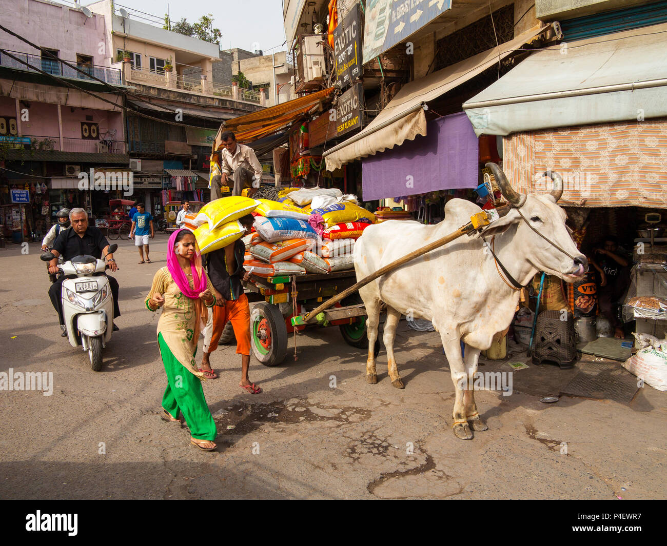 Old man bullock cart hi-res stock photography and images - Alamy