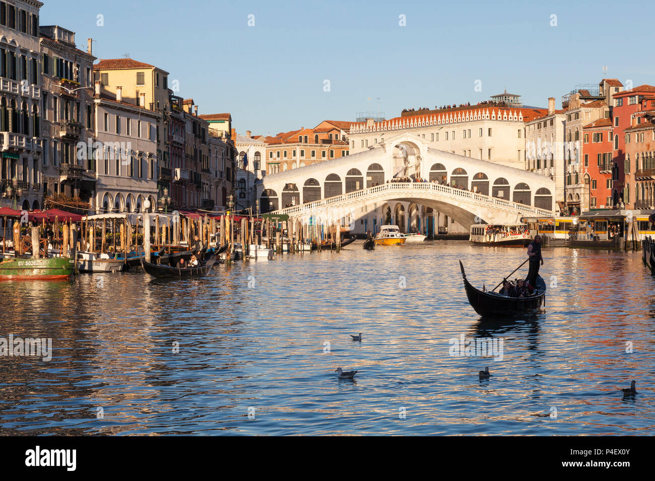 Gondola ride venice couple hi-res stock photography and images - Alamy