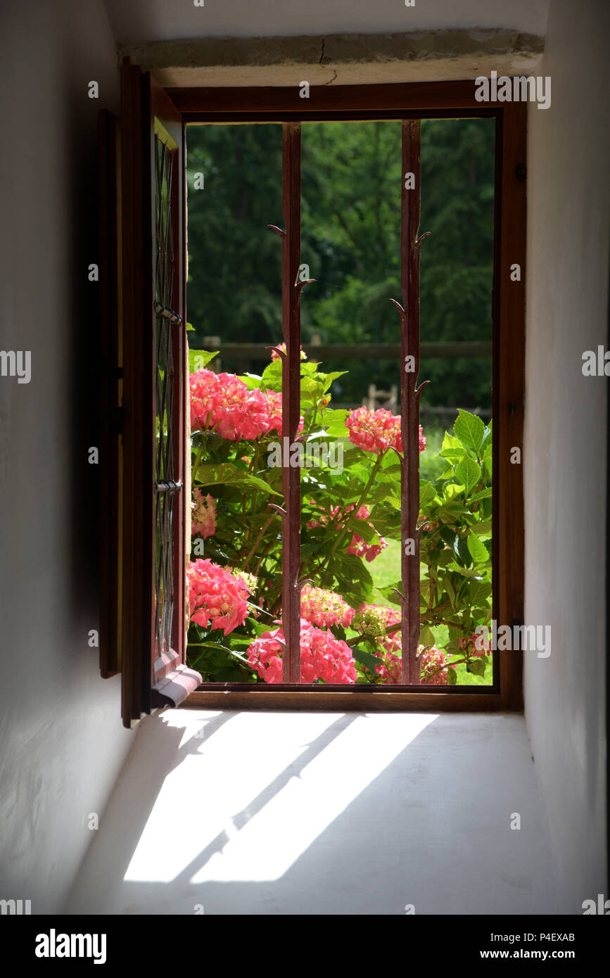 1500s hi-res stock photography and images - Alamy