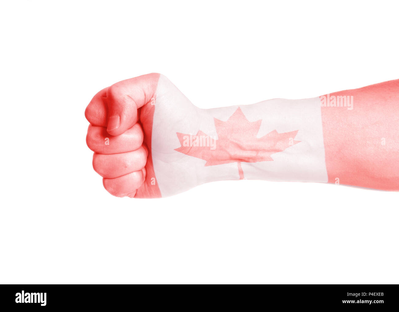 Canada flag painted on male hand with clenched a fist isolated on a ...