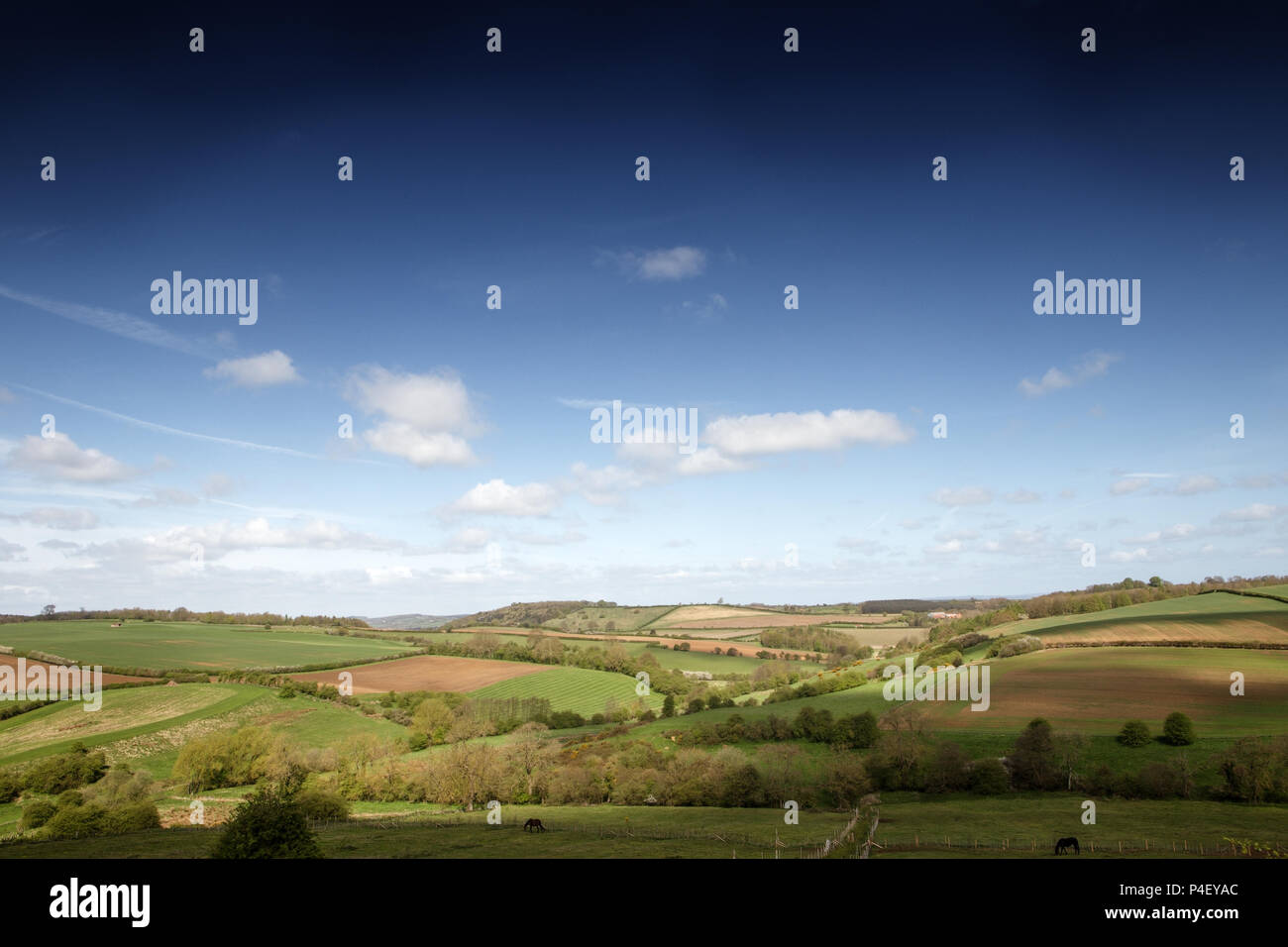 Empty moorland landscape background hi-res stock photography and images ...