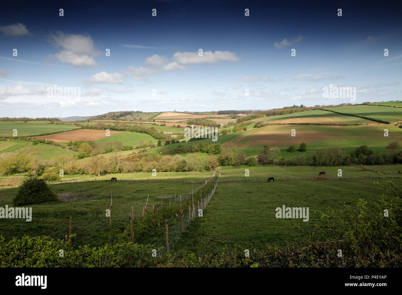 Empty moorland landscape background hi-res stock photography and images ...