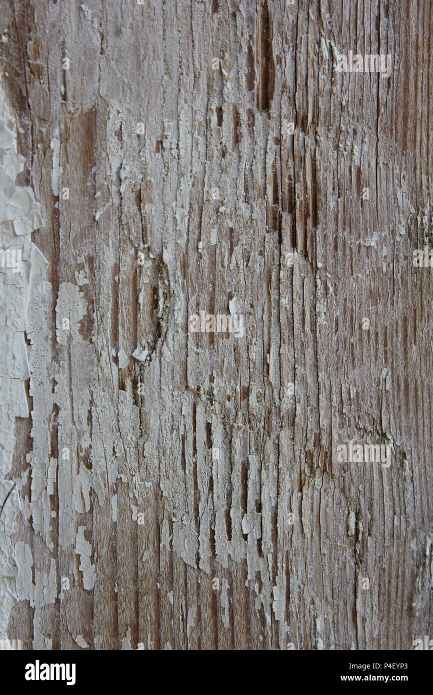 Weathered wooden column of a backyard deck in a standard Chicago home ...