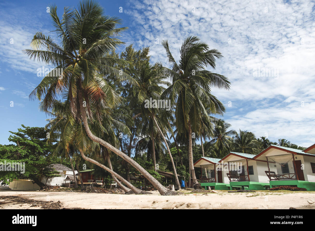beautiful palm trees with shacks on tropical beach Stock Photo - Alamy