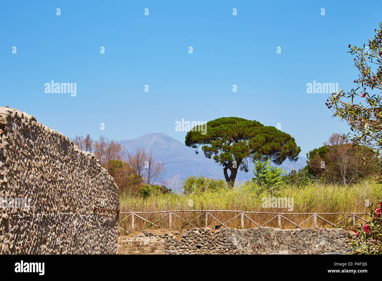 Nice view on Vesuvius volcano and high green grass trees stones and ...