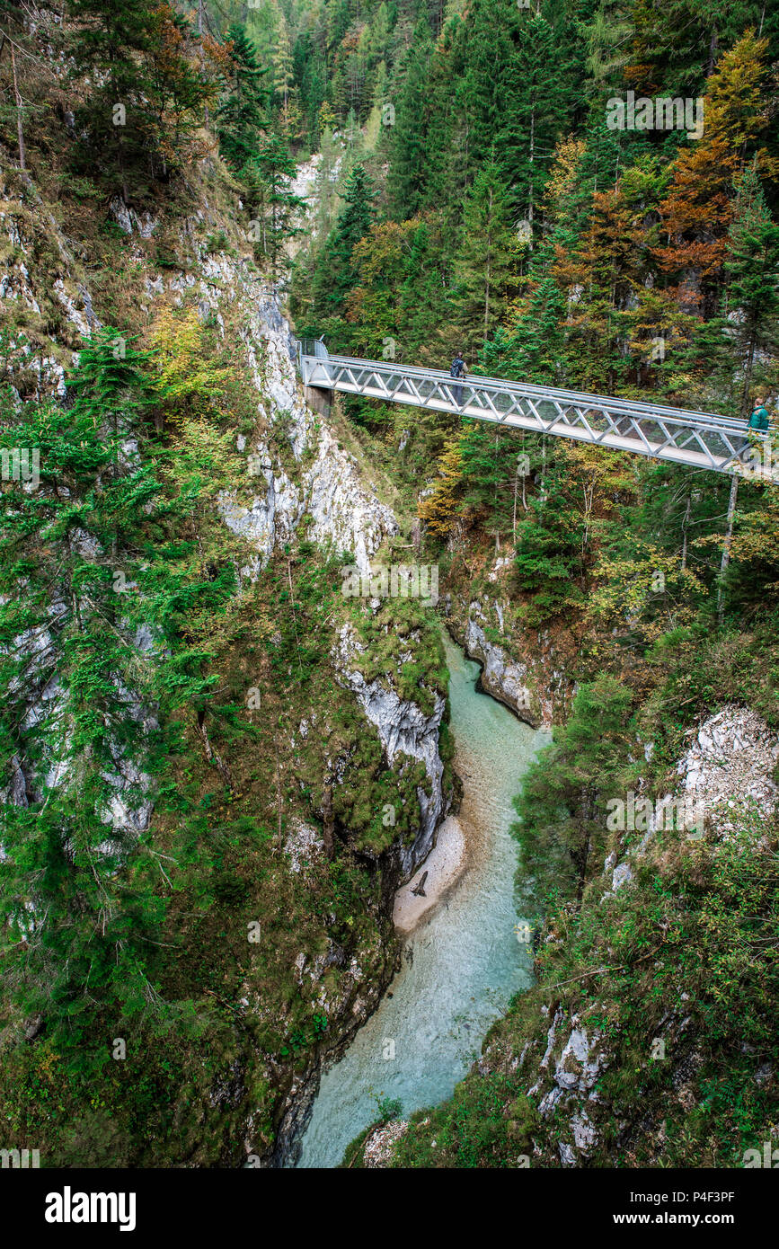 Leutaschklamm - wild gorge with river in the alps of Germany Stock ...