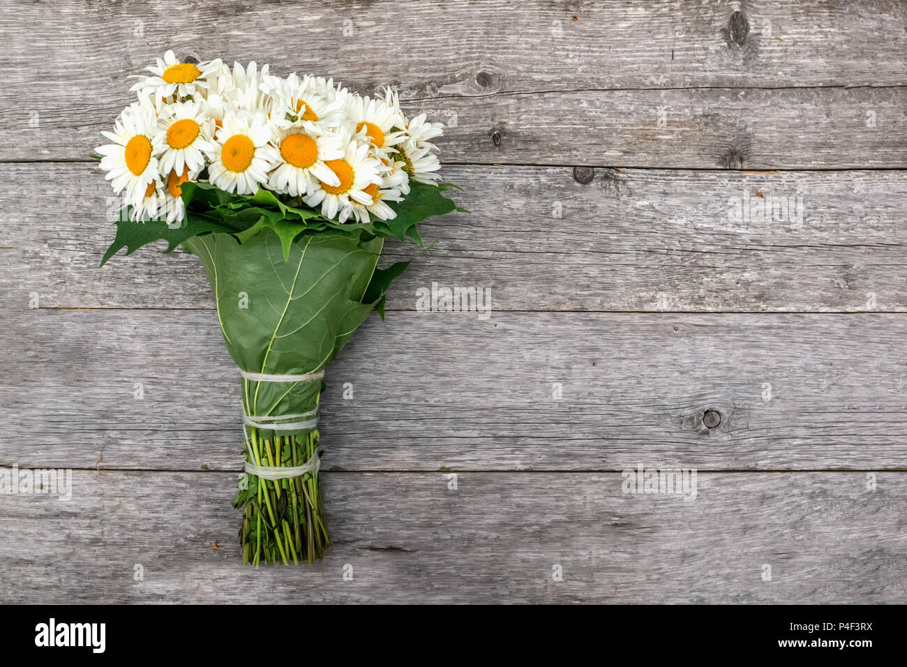 A bouquet of beautiful field daisies on a wooden old surface. Copy ...