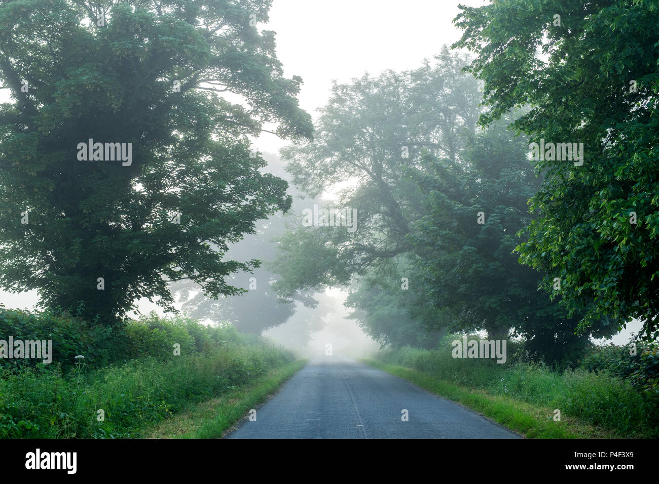 Misty summer morning country road hi-res stock photography and images ...