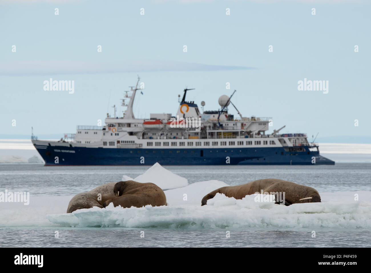 Ocean adventurer ship norway hi-res stock photography and images - Alamy