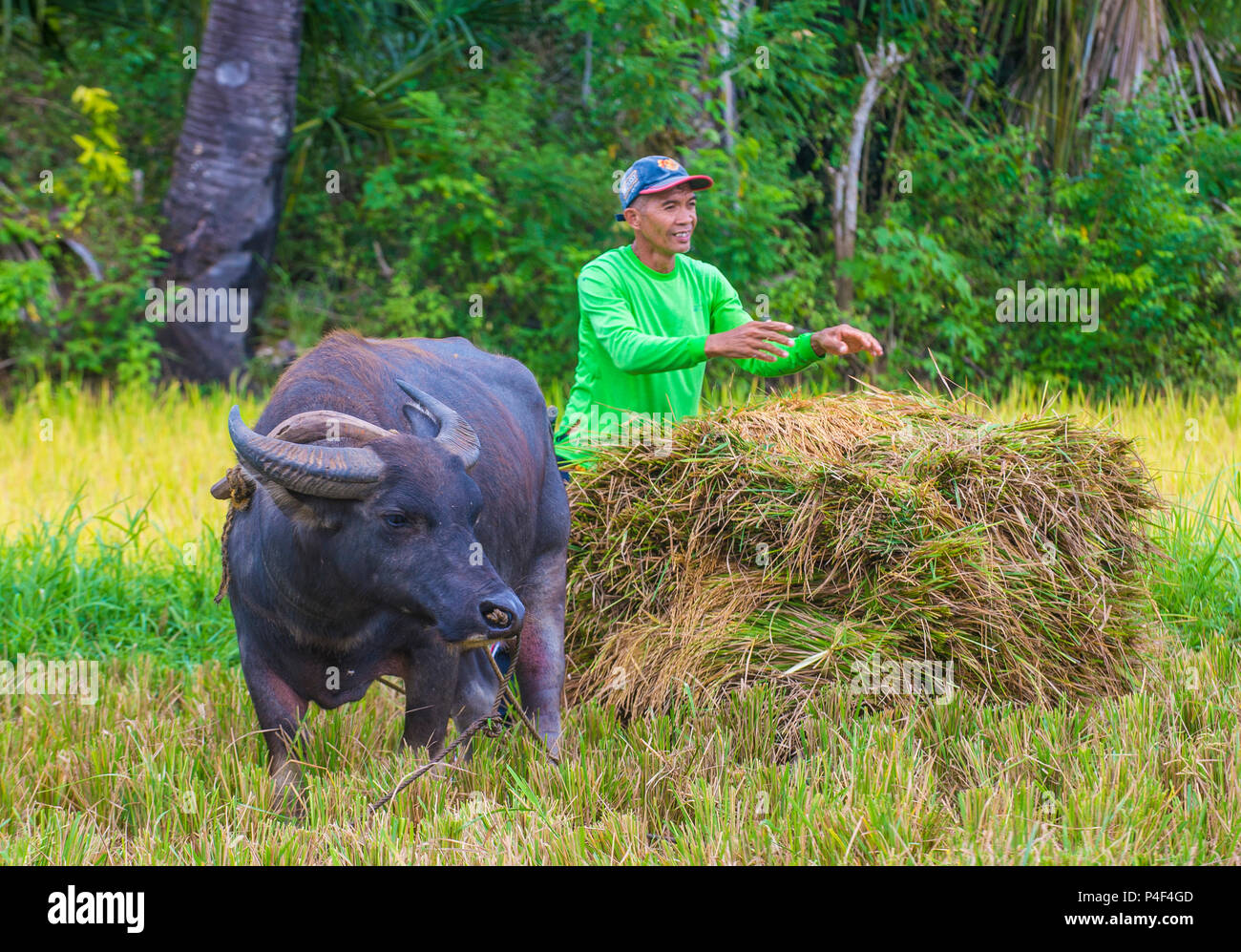Marinduque Stock Photos & Marinduque Stock Images - Alamy