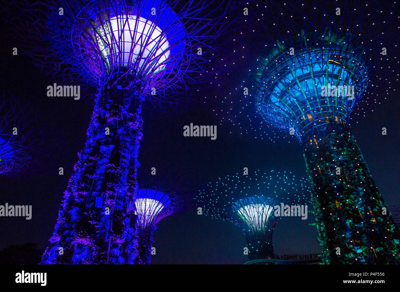 Supertrees in Gardens by the Bay in Singapore Stock Photo - Alamy