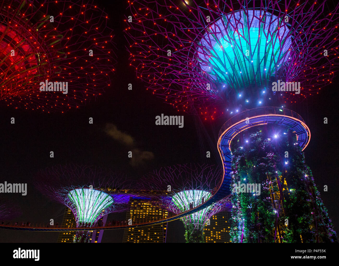 Supertrees in Gardens by the Bay in Singapore Stock Photo - Alamy