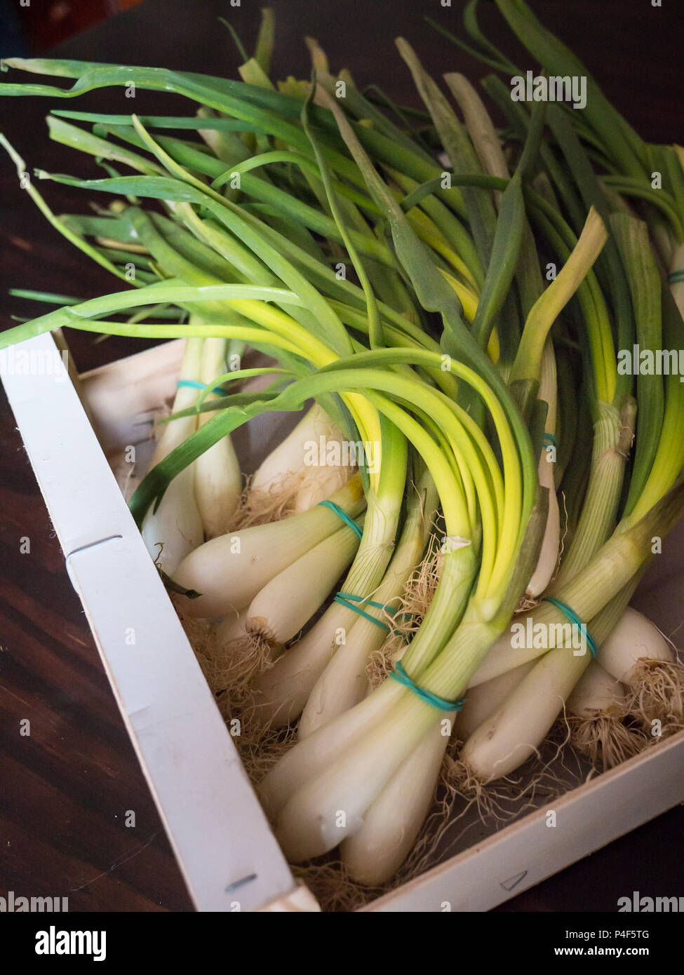 Bundle box hi-res stock photography and images - Alamy