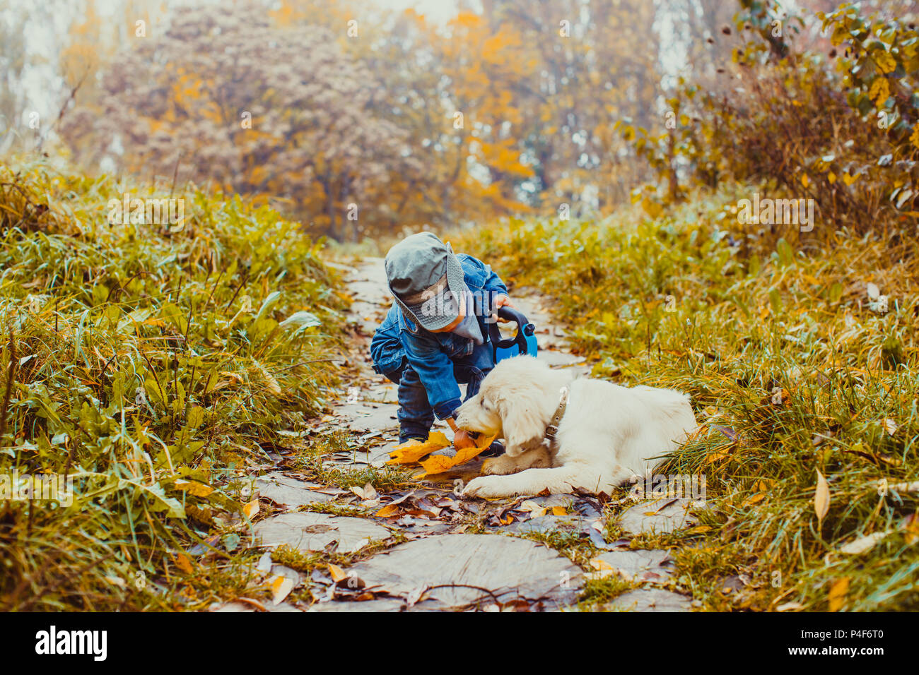 Friendship between boy and dog Stock Photo - Alamy