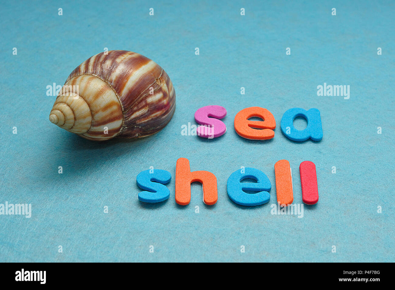 Oceanic organism hi-res stock photography and images - Alamy