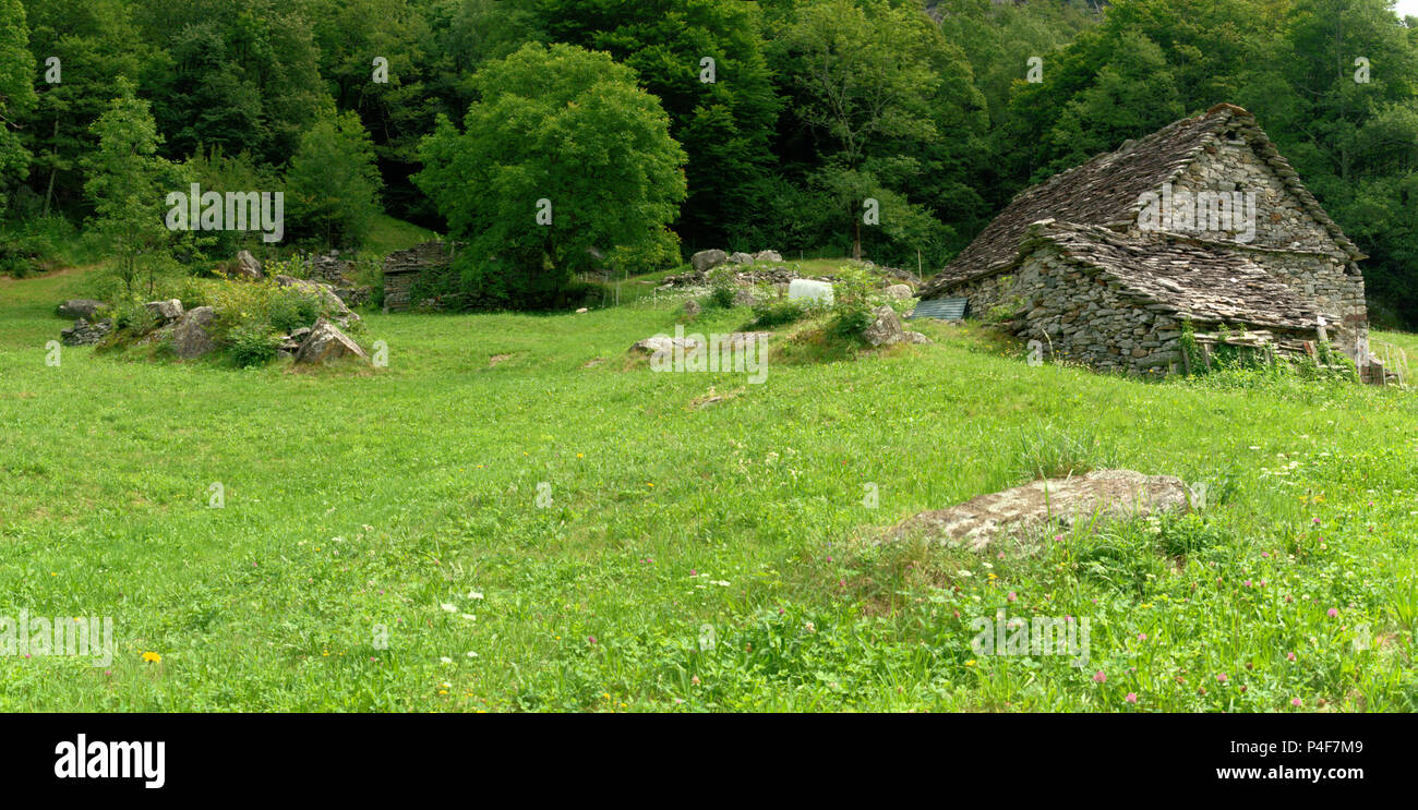 Floor of the Valle Versasca in Ticino (Italian Switzerland Stock Photo ...