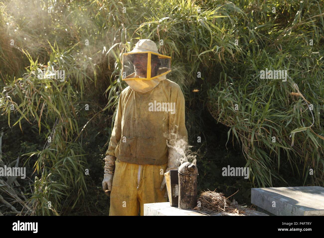 Original Film Title: LE MERAVIGLIE. English Title: THE WONDERS. Film ...