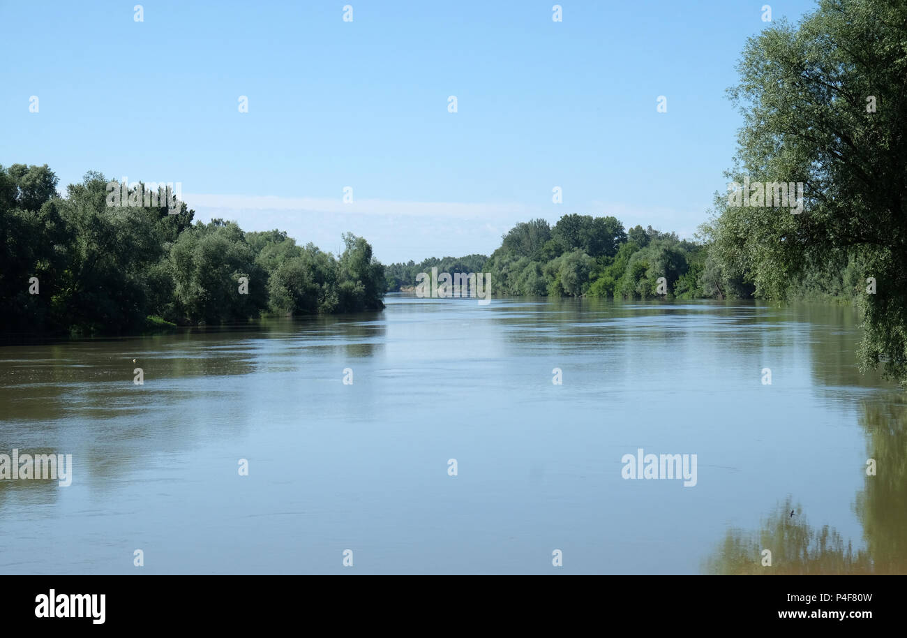 The Sava River is one of the very few unchanged lowland rivers in ...