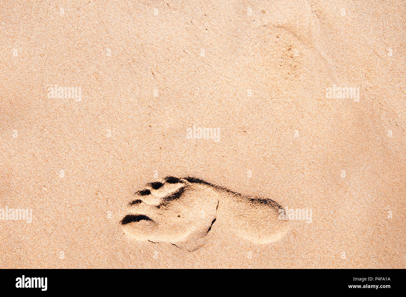Track in the sand Stock Photo - Alamy