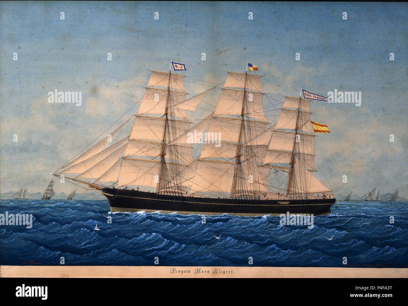 Rose frigate alegret hi-res stock photography and images - Alamy