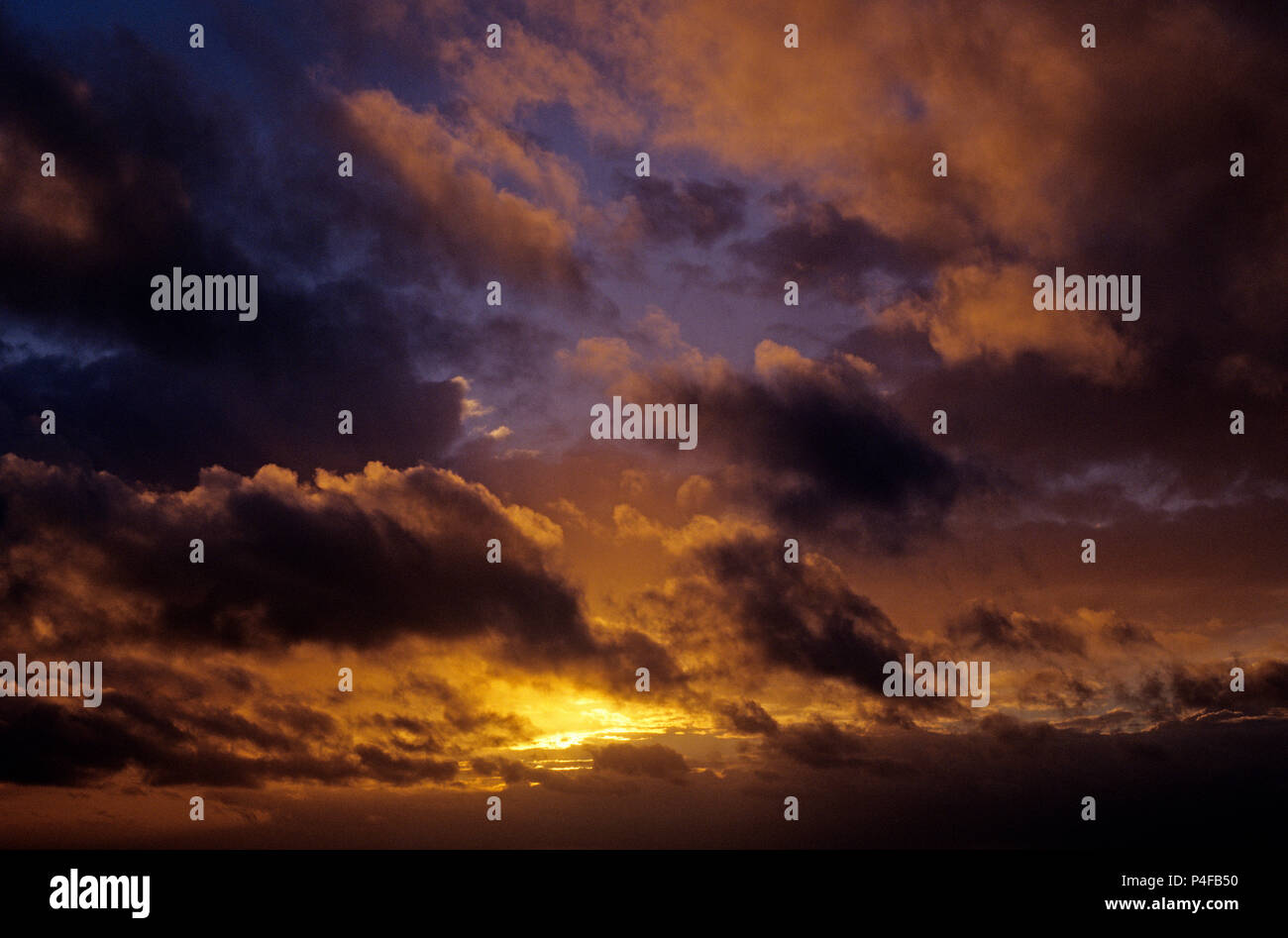 Ominus hi-res stock photography and images - Alamy