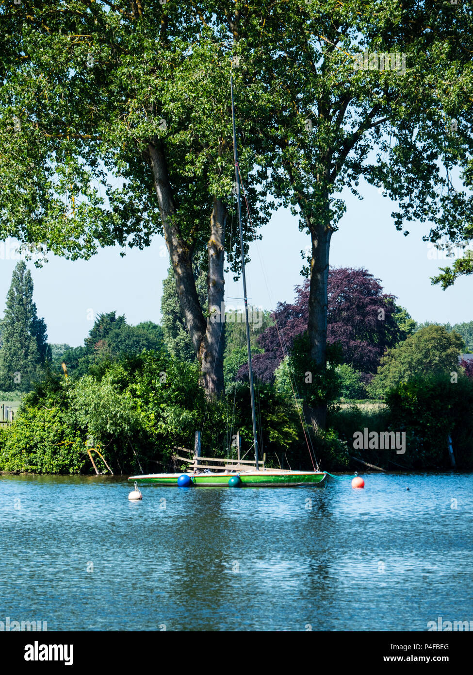 Idyllic River Thames Summer Landscape, nr Bourne End, Buckinghamshire ...
