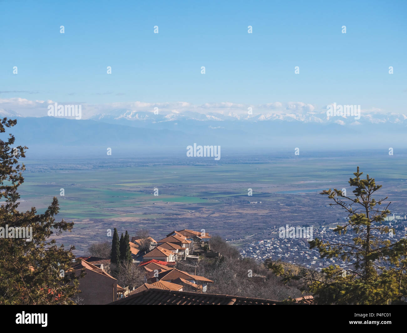 aerial view of buildings, evergreen plants and beautiful mountains in ...