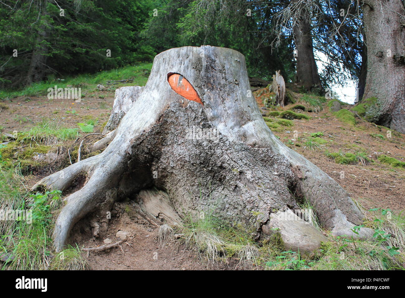 carved tree trunk Stock Photo - Alamy